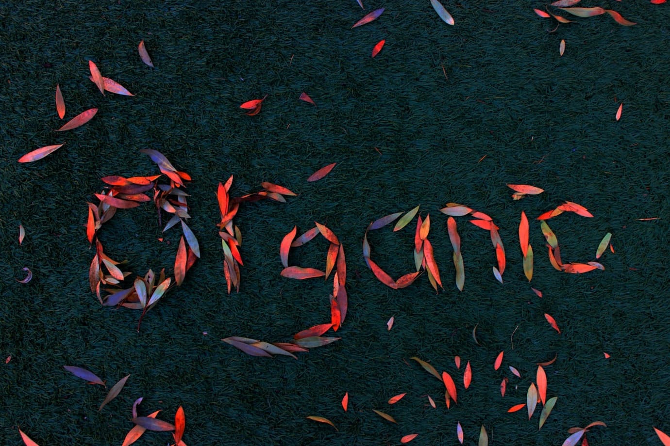 The Benefits of Going Organic for Your Barbecue | Blogs | Outback Barbecues